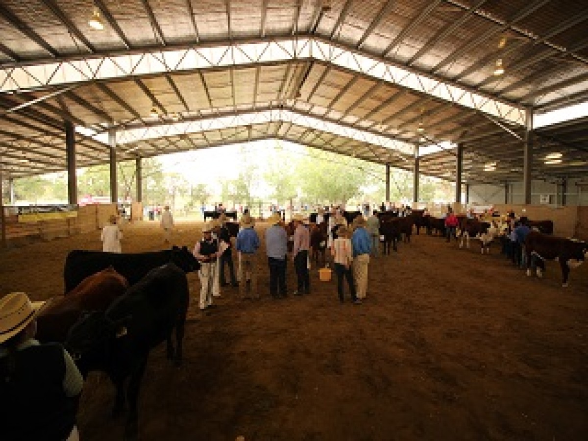 The Exhibition Centre